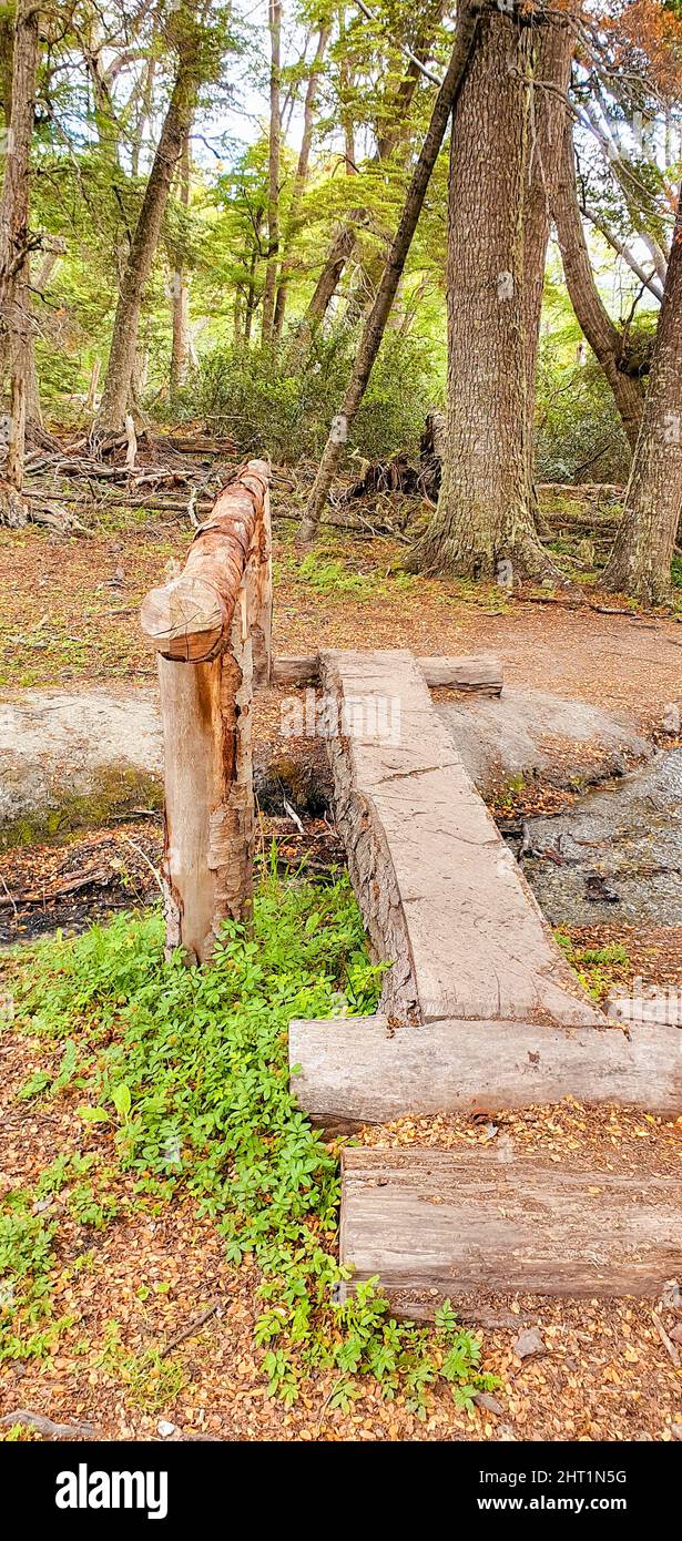 Vertical shot of a small wooden bridge in the forest Stock Photo - Alamy