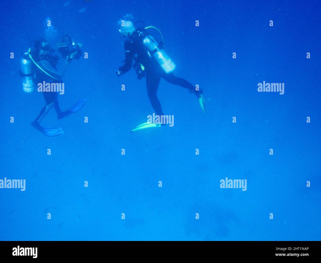People diving in the water Stock Photo - Alamy