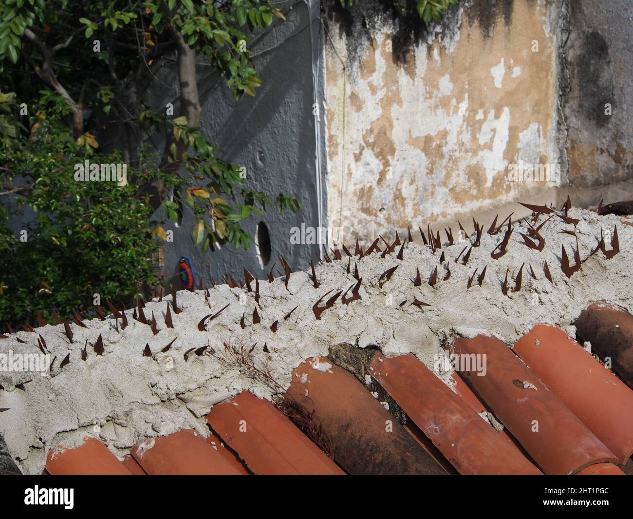 Soil shards hi-res stock photography and images - Alamy