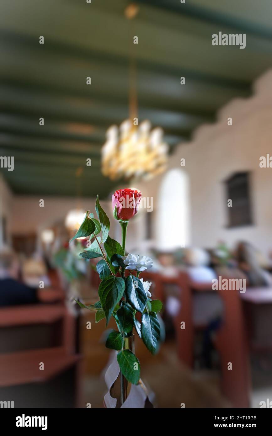 Church wedding - and rose. A photo of a red rose - wedding in a Danish ...