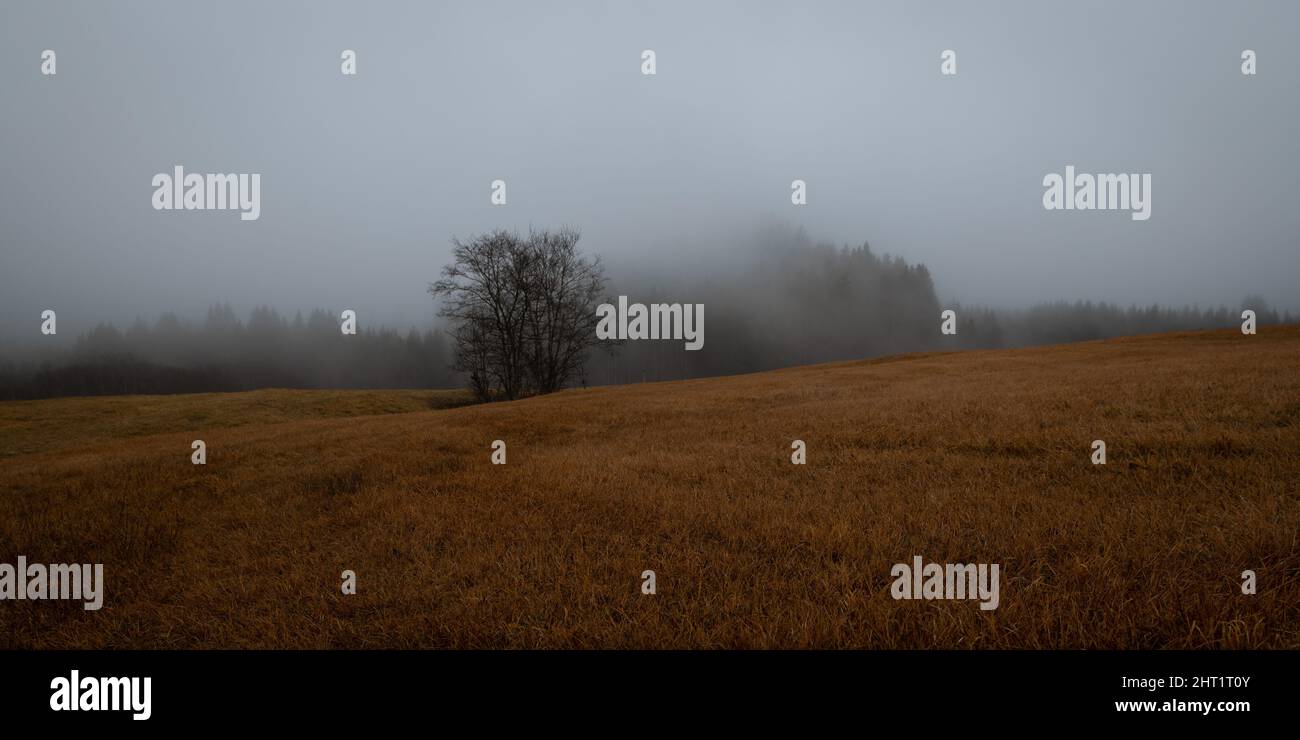 A scenic view of an agricultural field on a foggy morning in ...