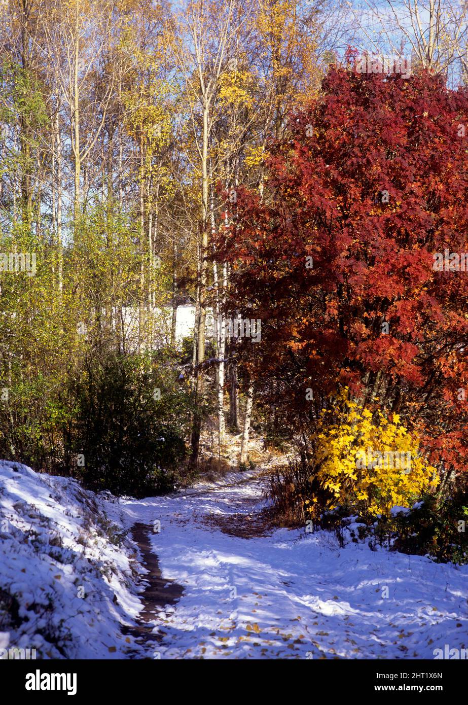 Autumn colors and snow hi-res stock photography and images - Alamy