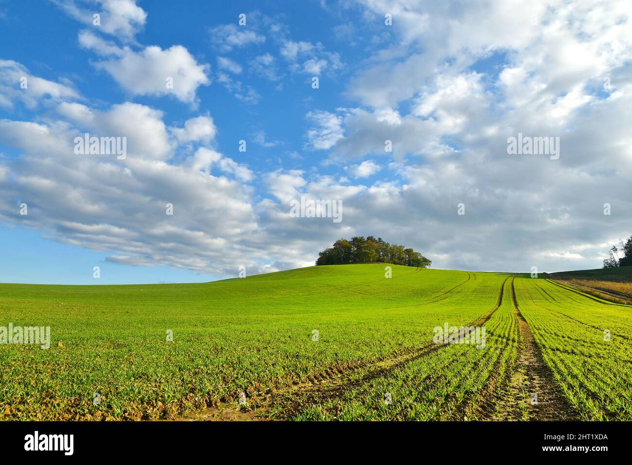 Landscape with wavy horizon, green field with path Stock Photo - Alamy