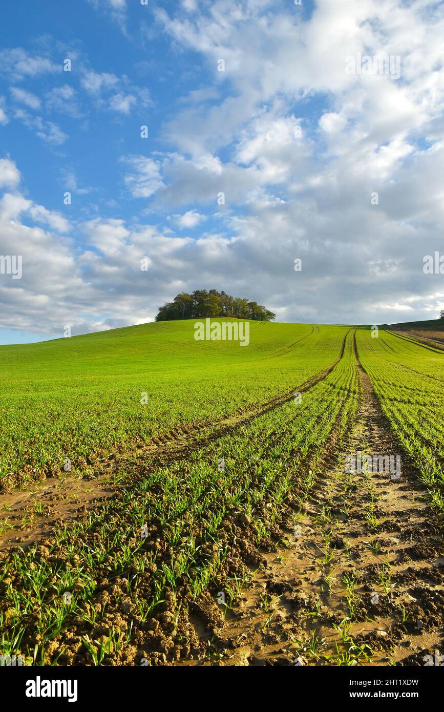 Wavy field road hi-res stock photography and images - Alamy
