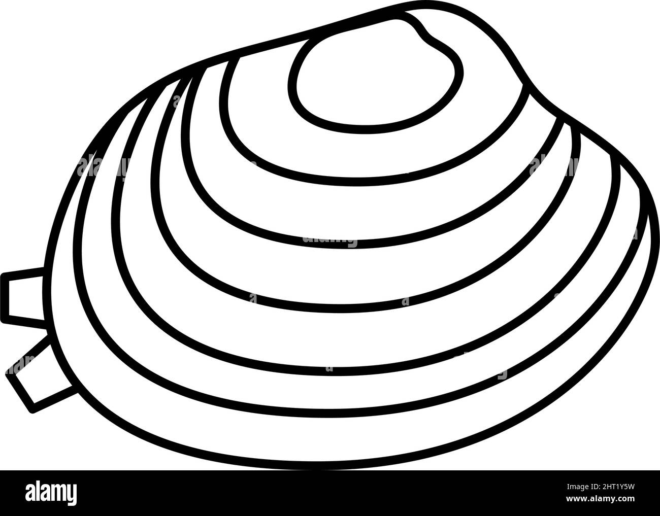 manila clam line icon vector illustration Stock Vector Image & Art - Alamy