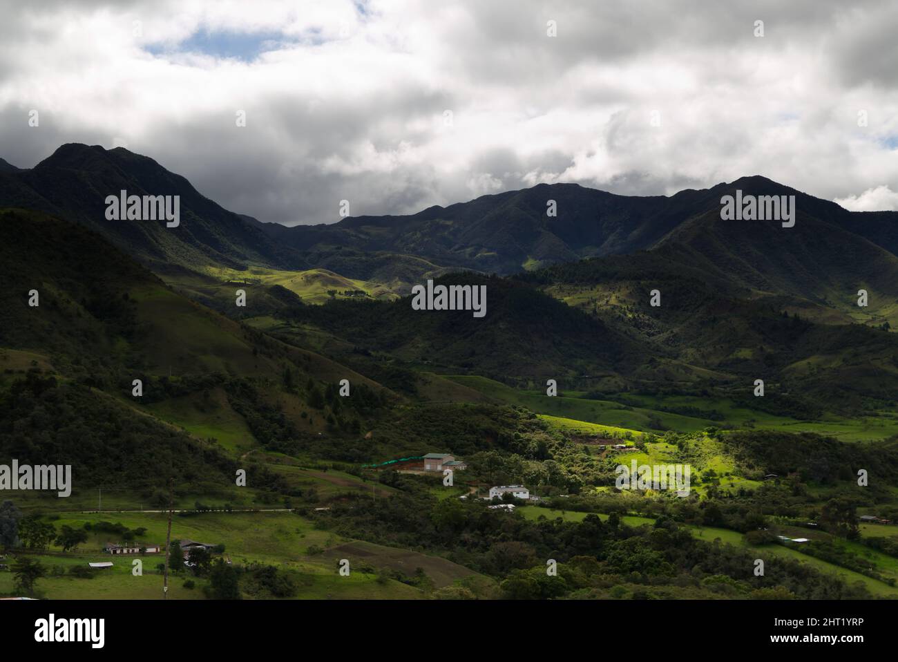 Typical vegetation of the area near Popayan, Colombia Stock Photo - Alamy
