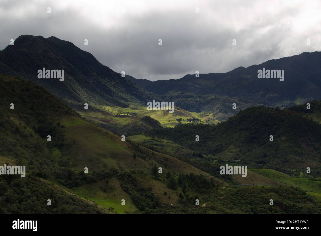 Typical vegetation of the area near Popayan, Colombia Stock Photo - Alamy