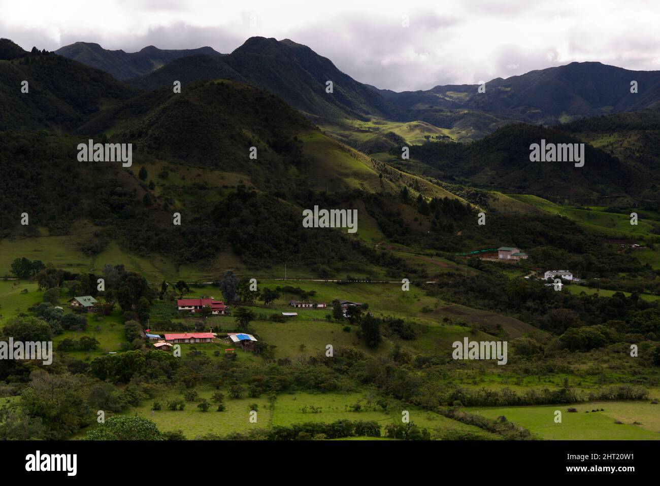 Typical vegetation of the area near Popayan, Colombia Stock Photo - Alamy