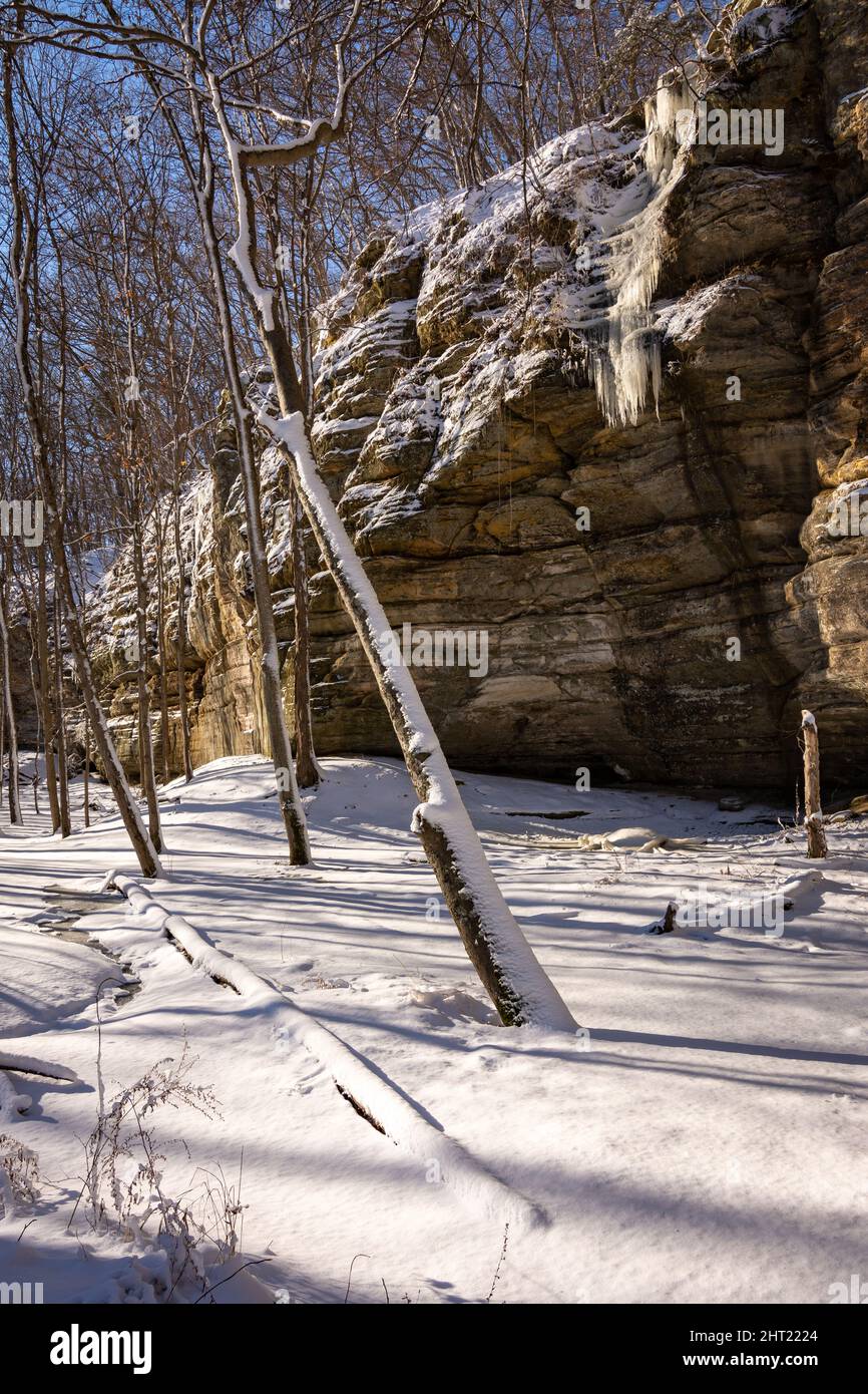 Fresh snow on a beautiful sunny morning in the Illinois Canyon area ...