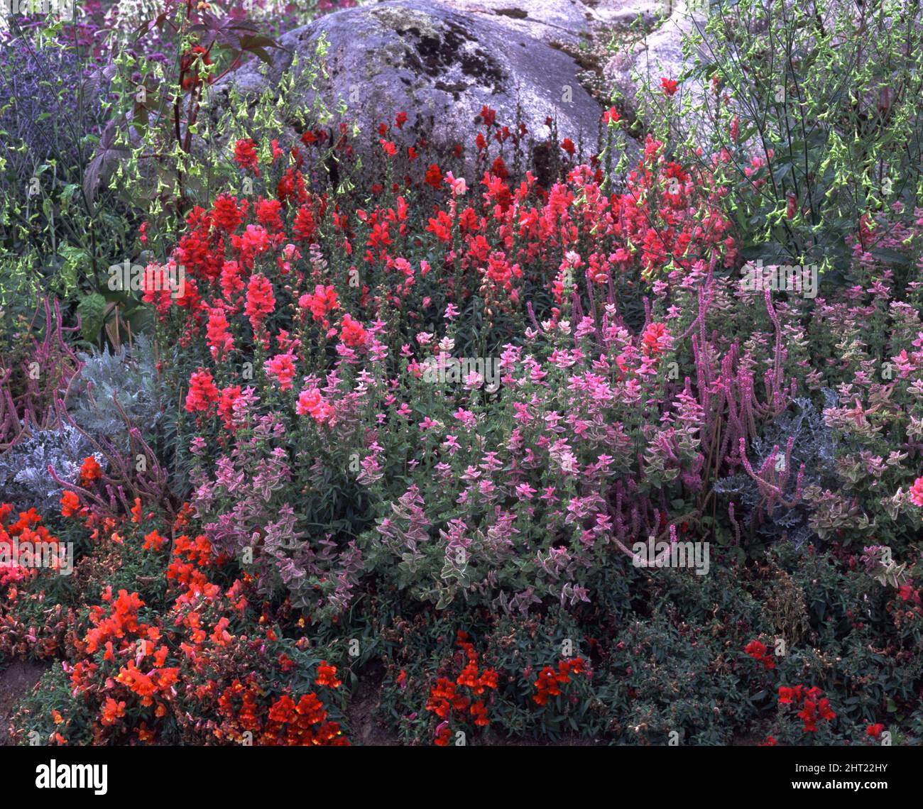 Blomsterrabatt hi-res stock photography and images - Alamy
