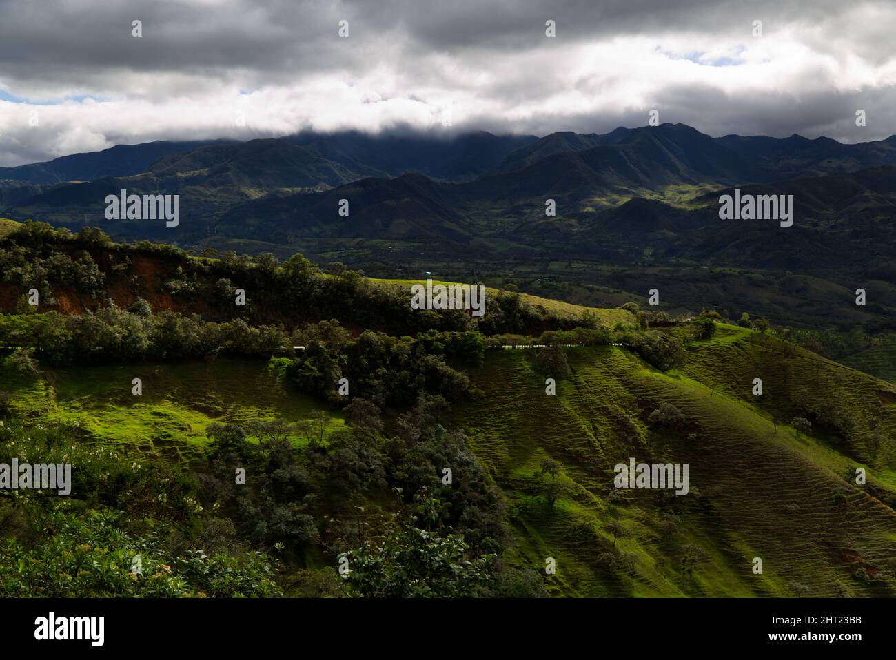 Typical vegetation of the area near Popayan, Colombia Stock Photo - Alamy