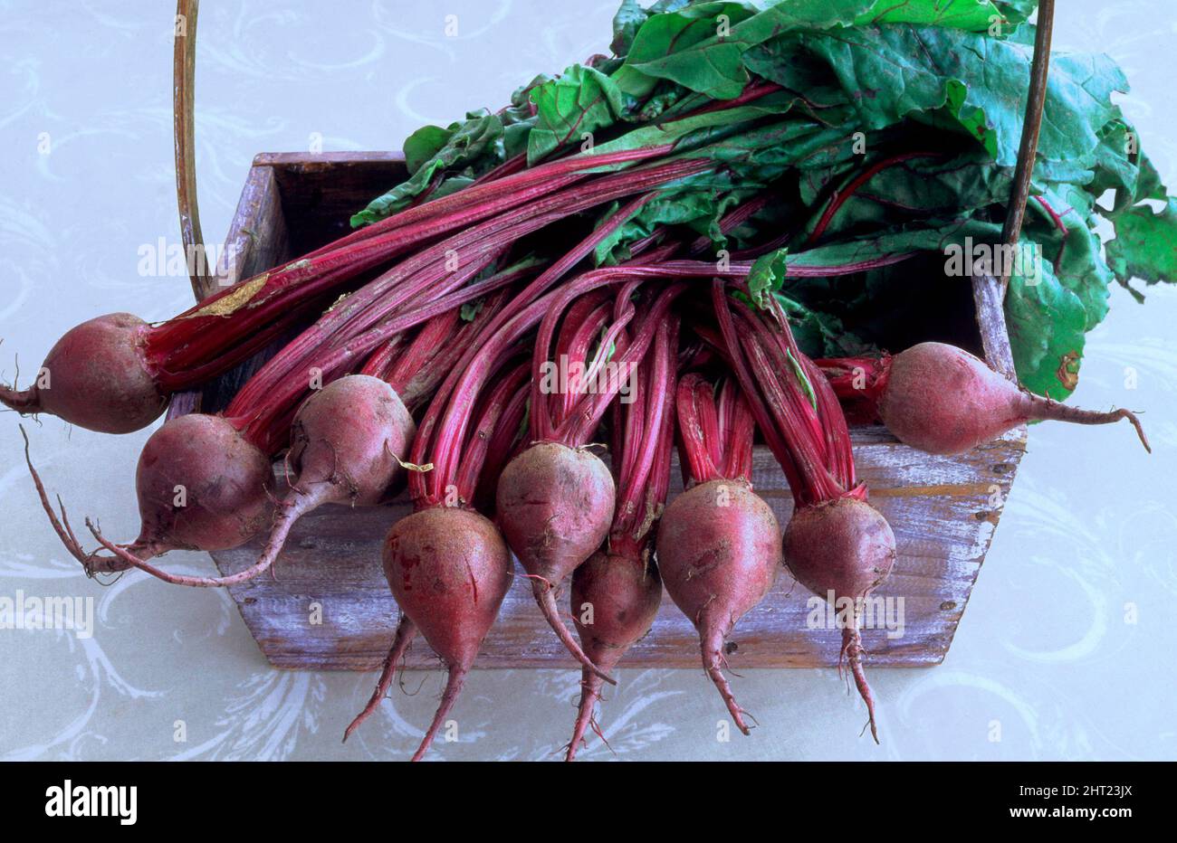 Freshly harvested beets Stock Photo - Alamy