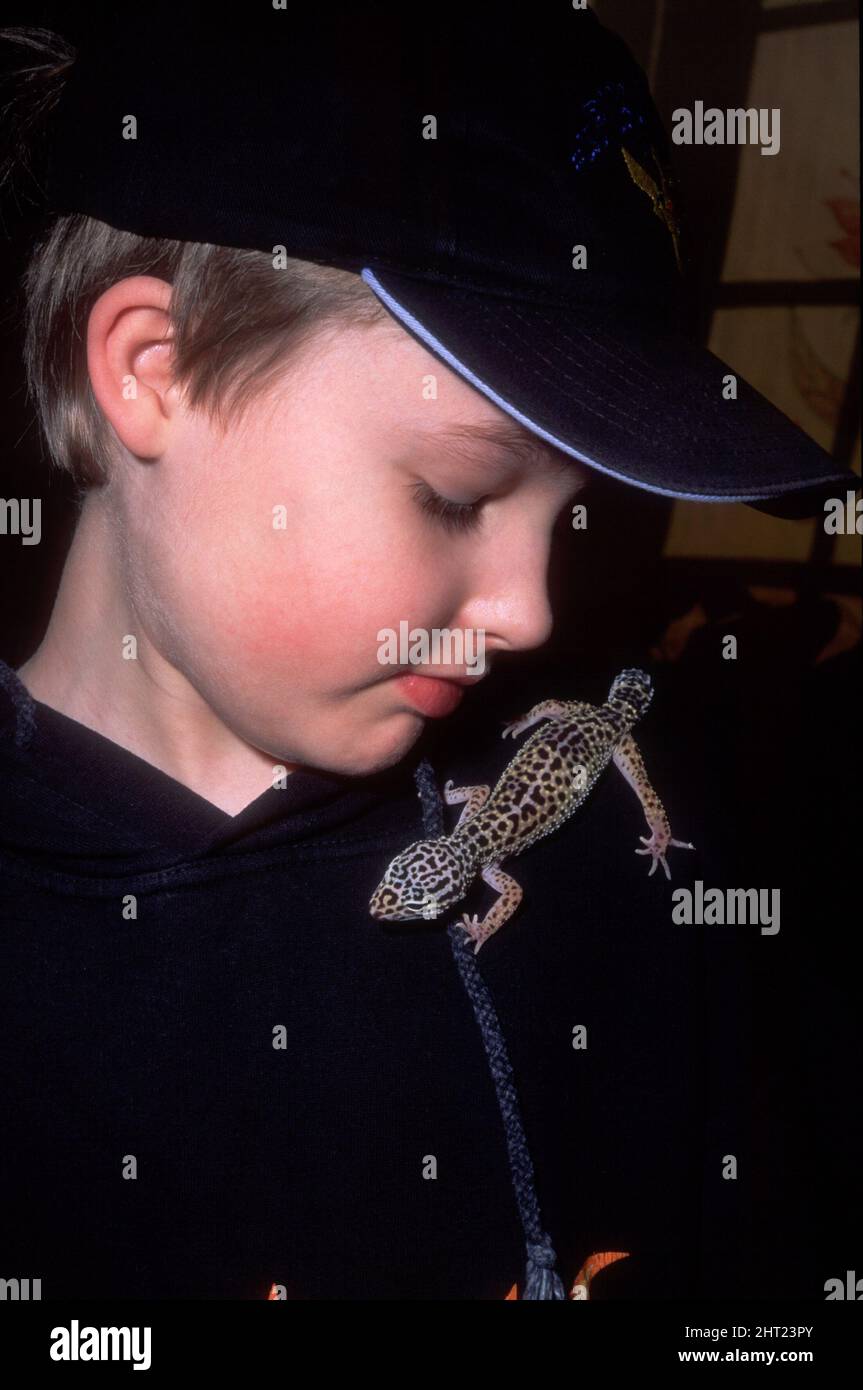 Boy and gecko hi-res stock photography and images - Alamy