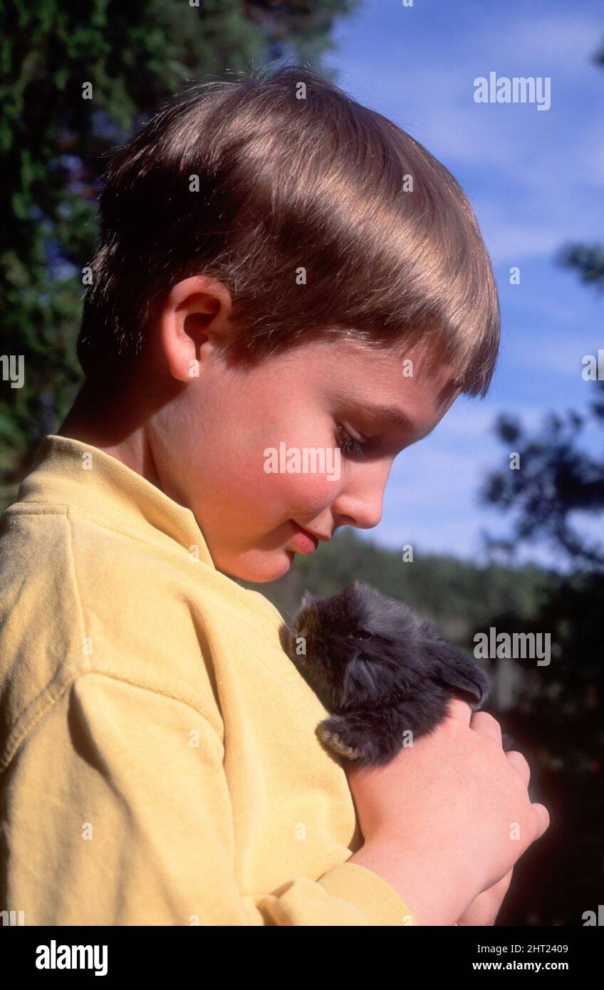 Aries rabbit hi-res stock photography and images - Alamy