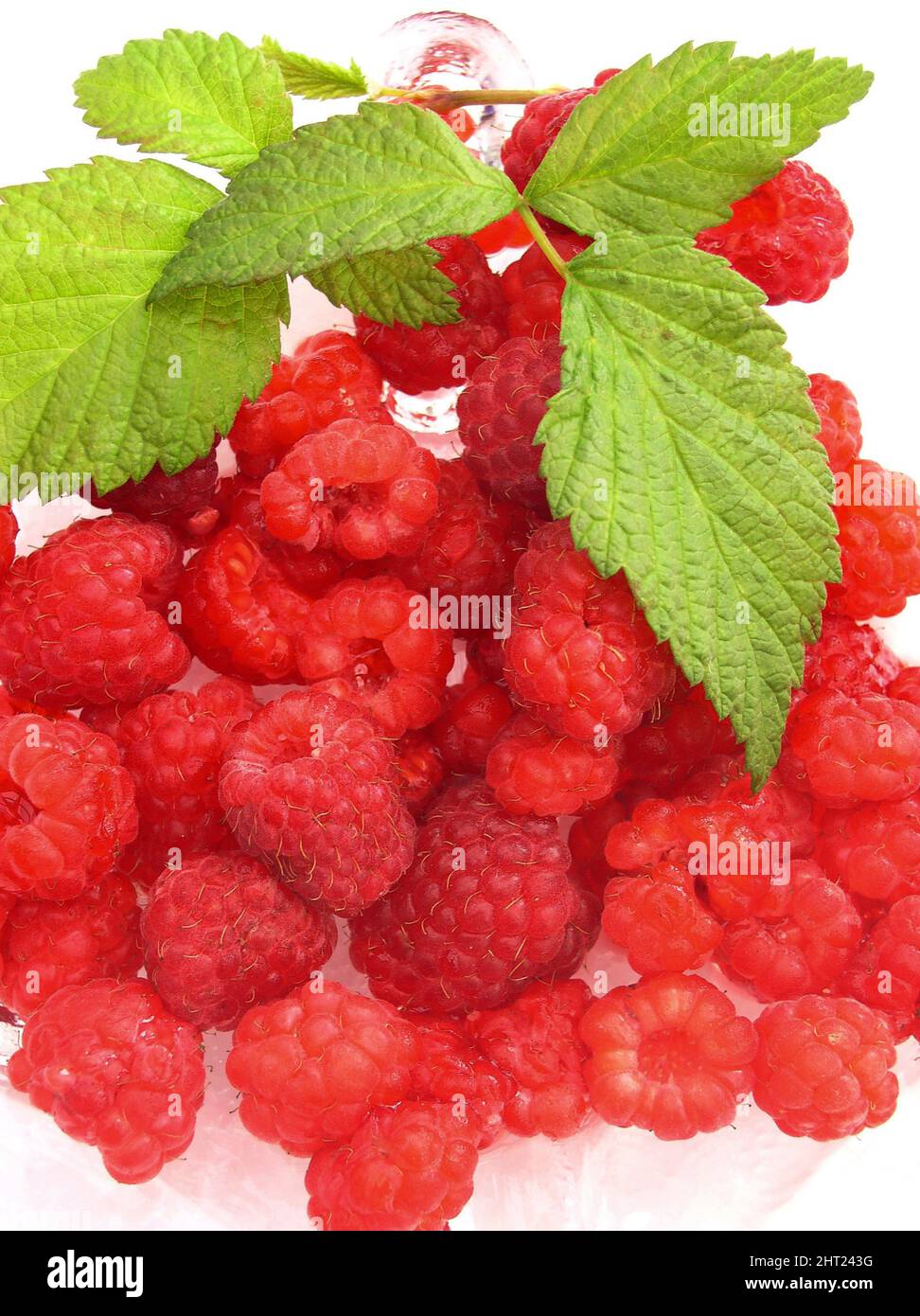Raspberry harvests hi-res stock photography and images - Alamy