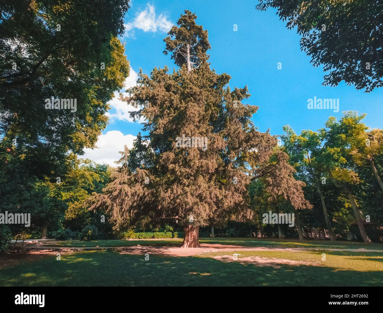 The national garden athens hi-res stock photography and images - Alamy