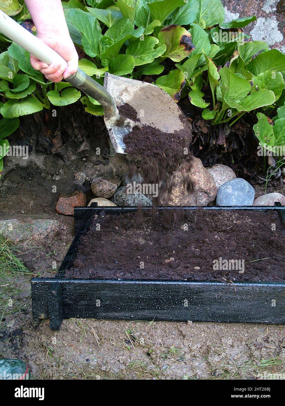 Pouring soil with a garden spade (diy - pyramid Stock Photo - Alamy