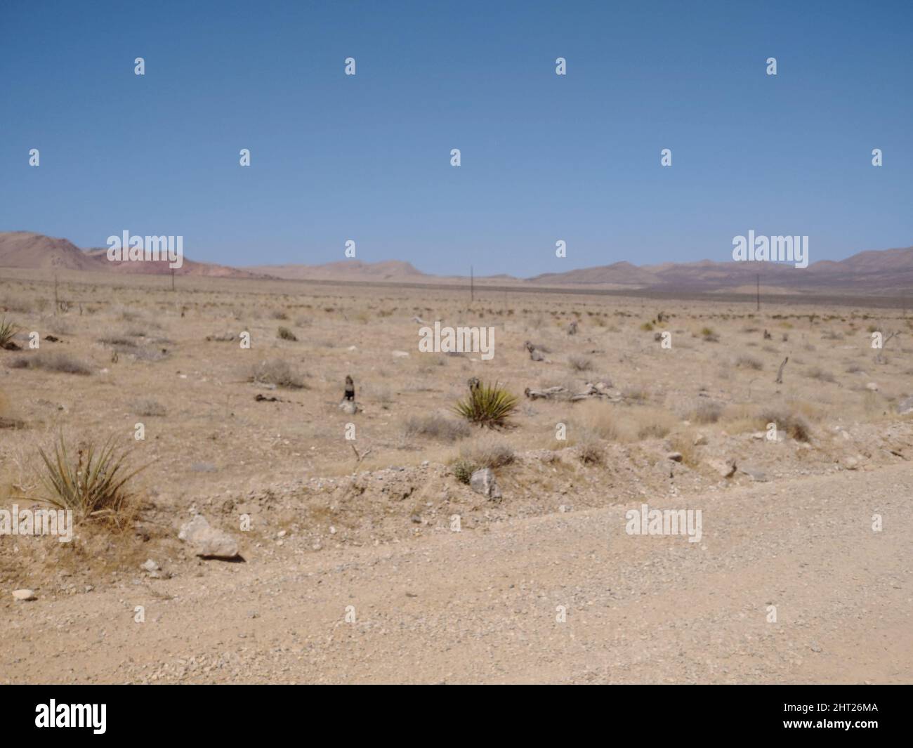 Desert with bushes and rocks with mountains and wooden poles on the ...