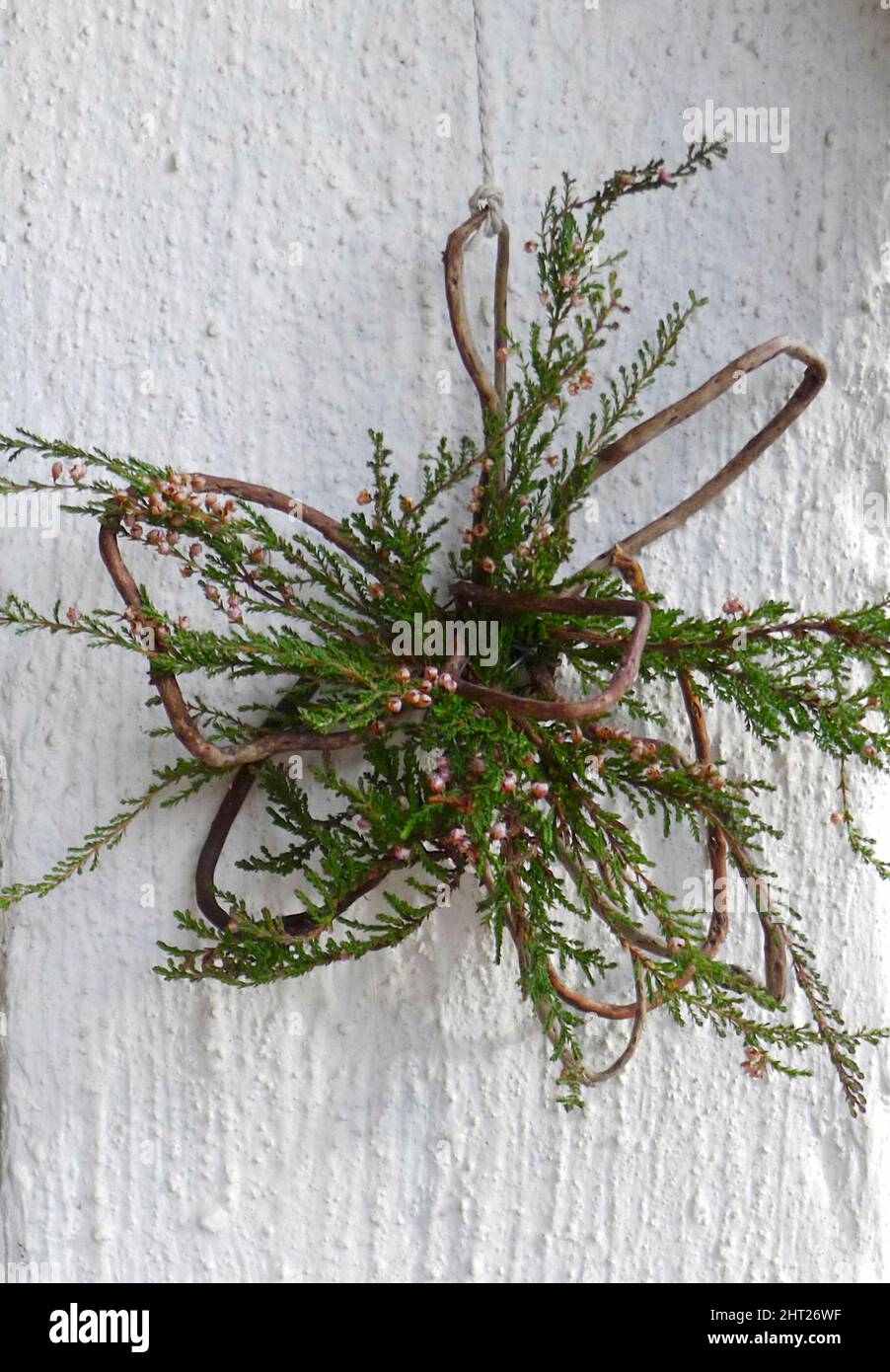 Natural decoration with Calluna Stock Photo - Alamy