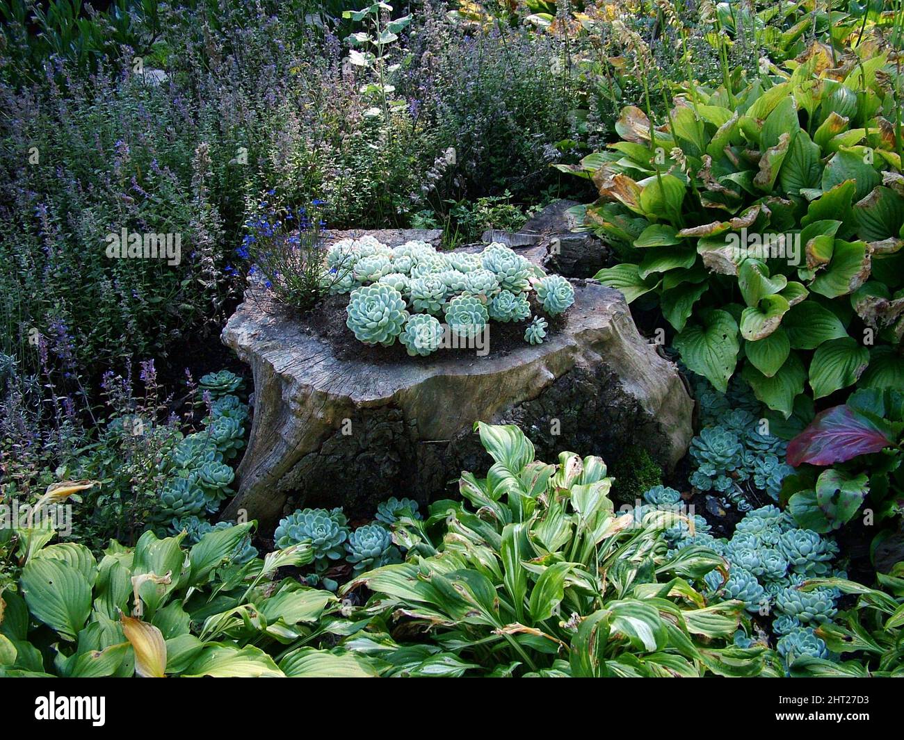 Stubbe hi-res stock photography and images - Alamy