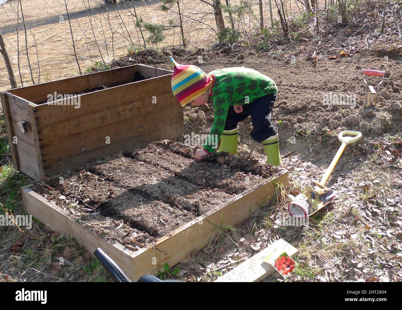 Boy sowing seeds Stock Photo - Alamy