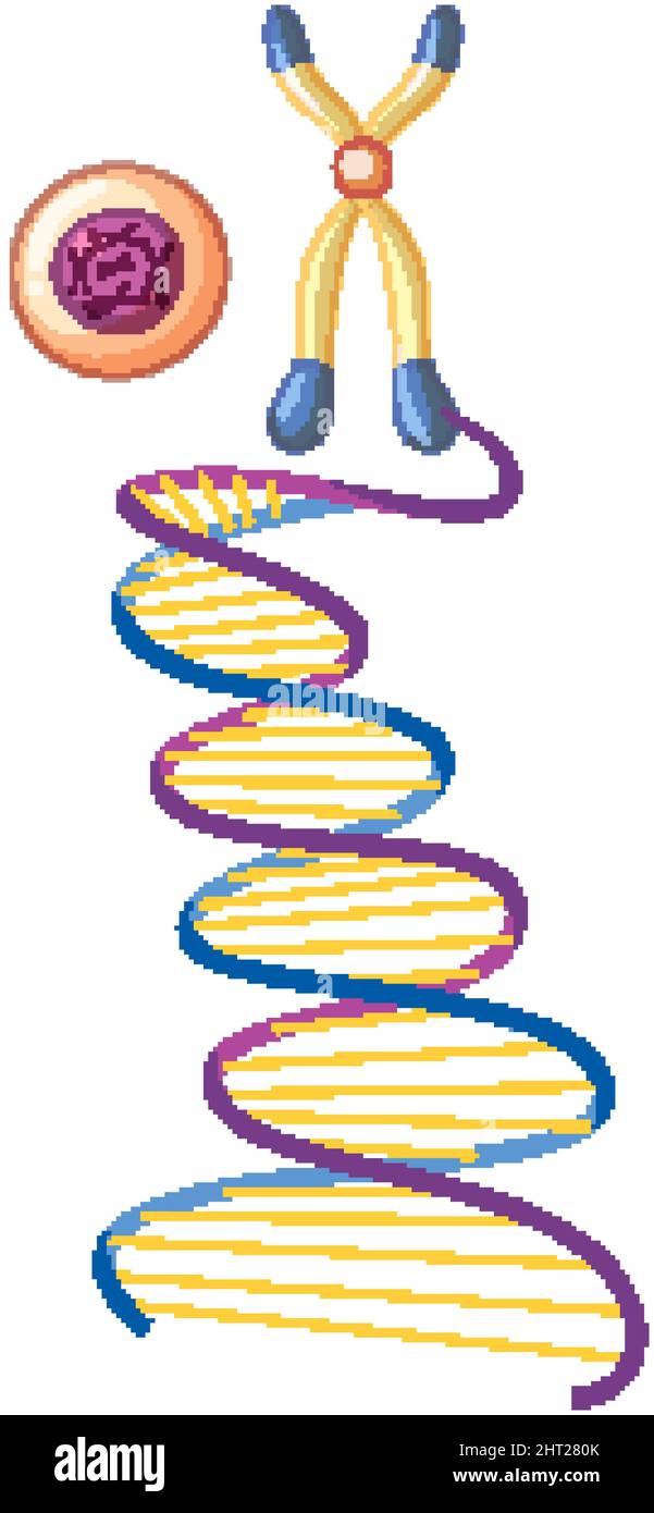 DNA helix symbol isolated on white background illustration Stock Vector ...