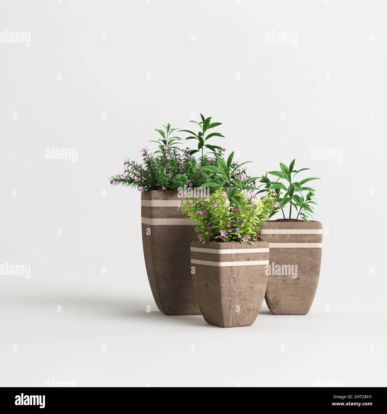Collection of brown potted plants isolated on light background Stock ...