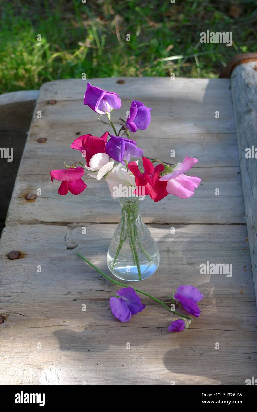 Flower bouquet with sweet peas Stock Photo - Alamy