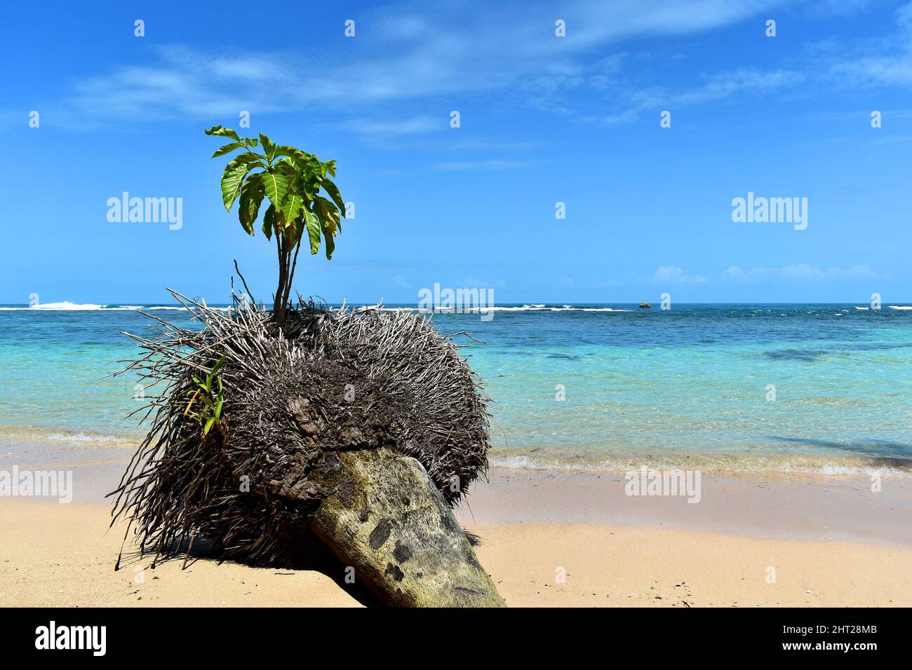 Beautiful beach with fine sand, turquoise clear ocean, blue sky with ...