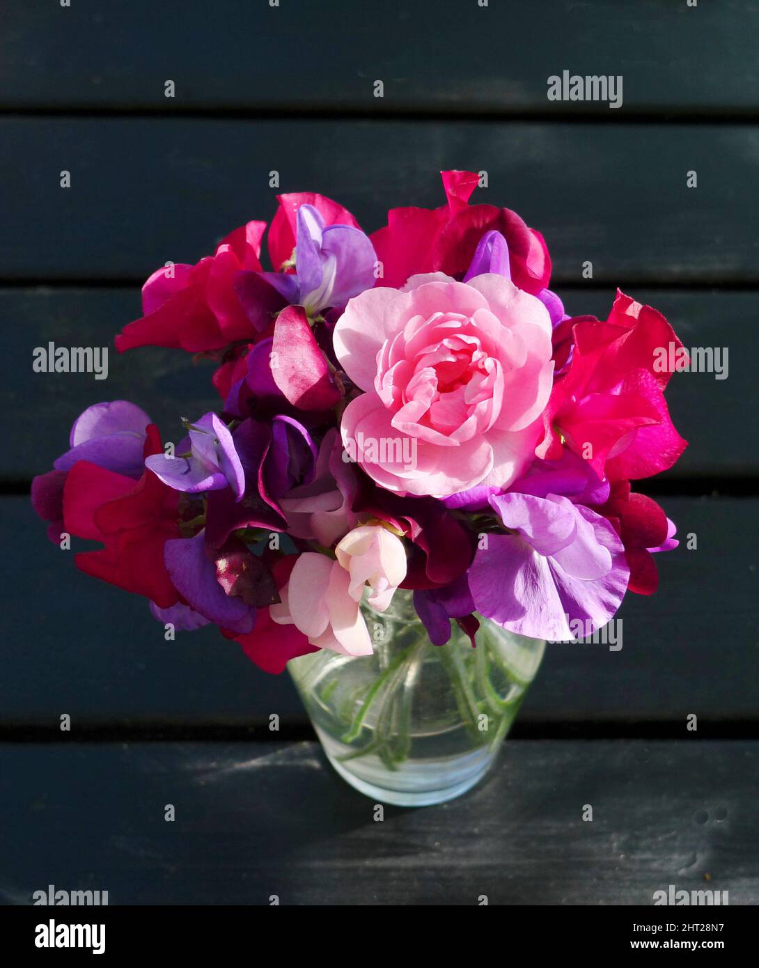 With Roses Sweet Pea Photography