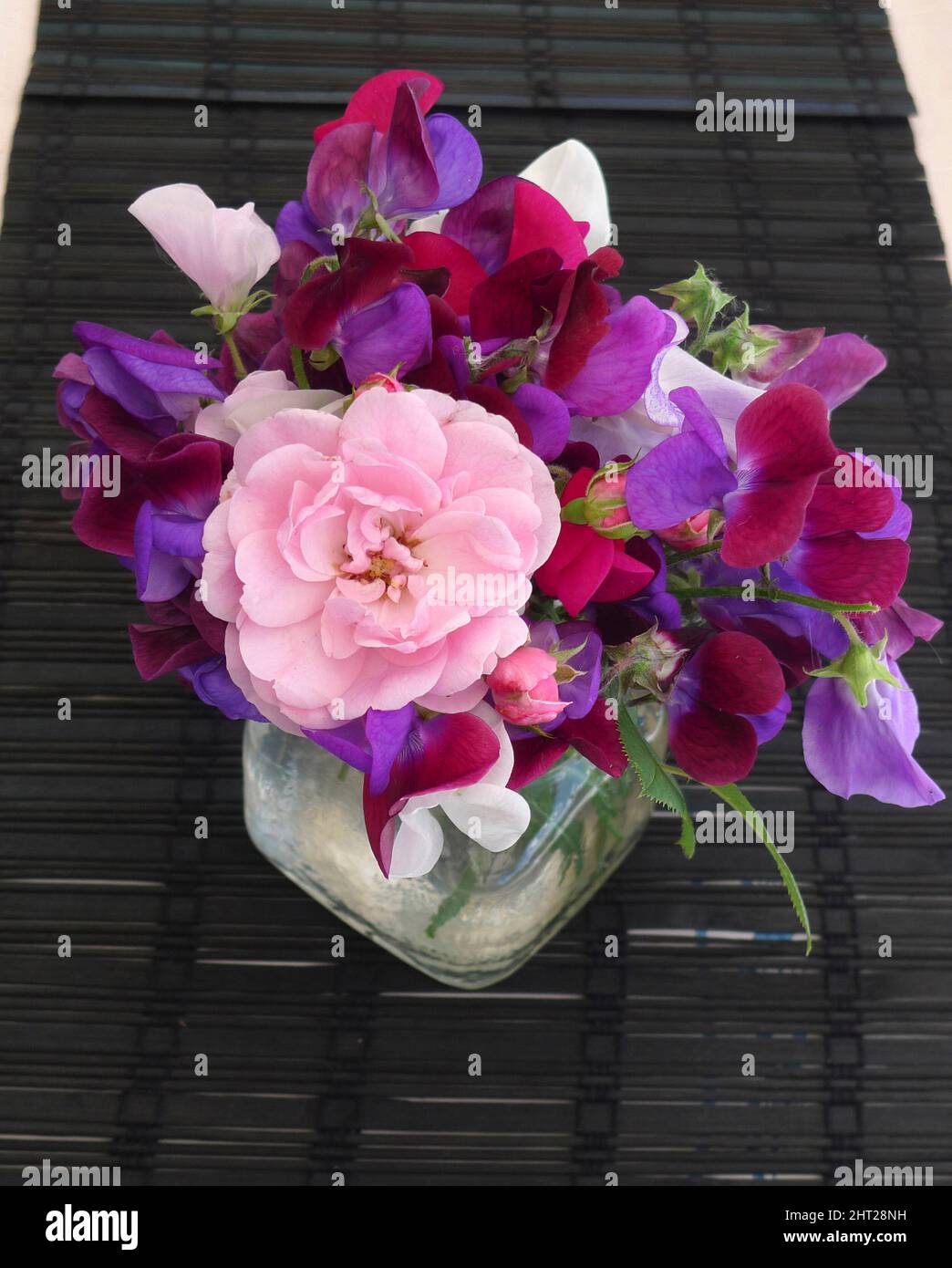 With Roses Sweet Pea Photography