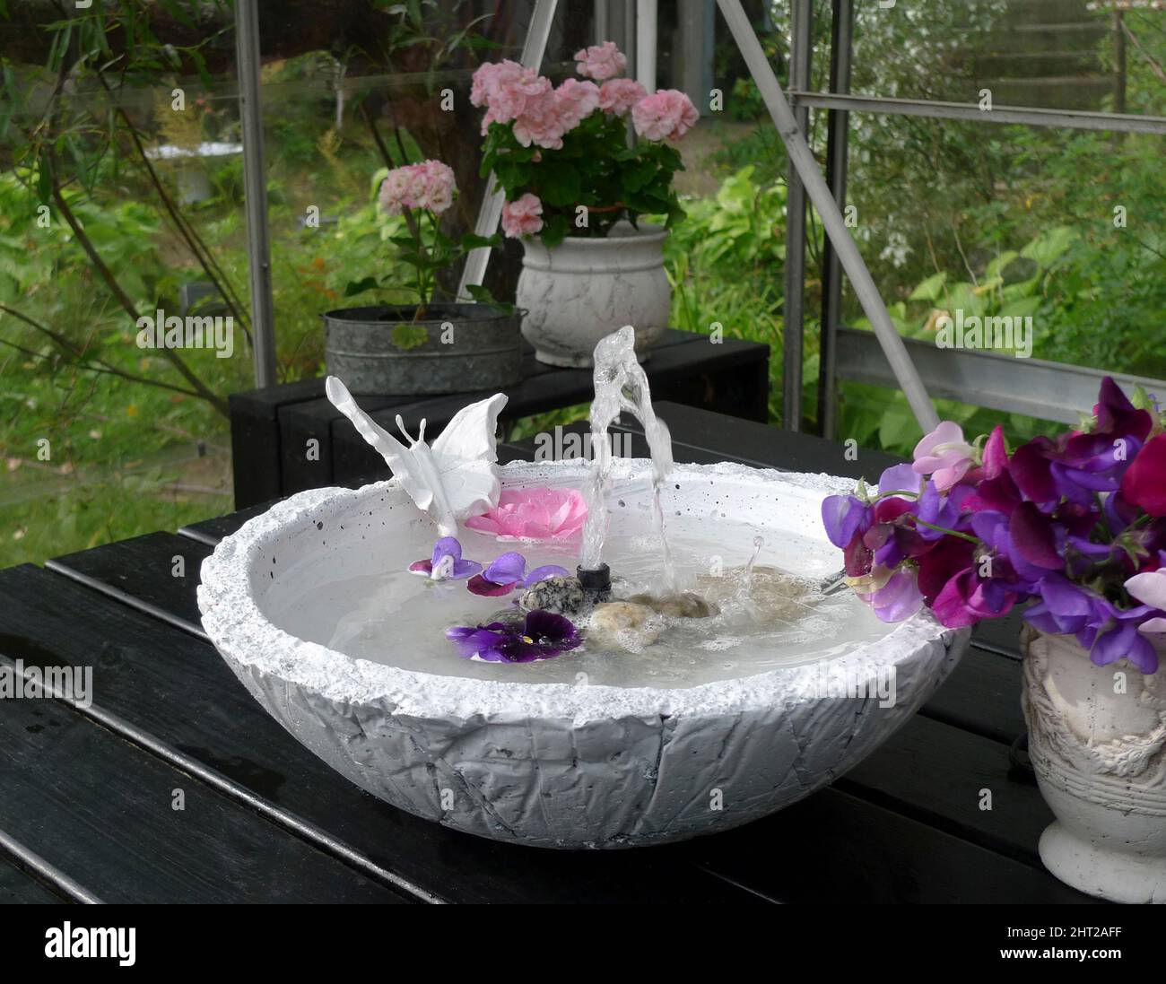 Uterum hi-res stock photography and images - Alamy