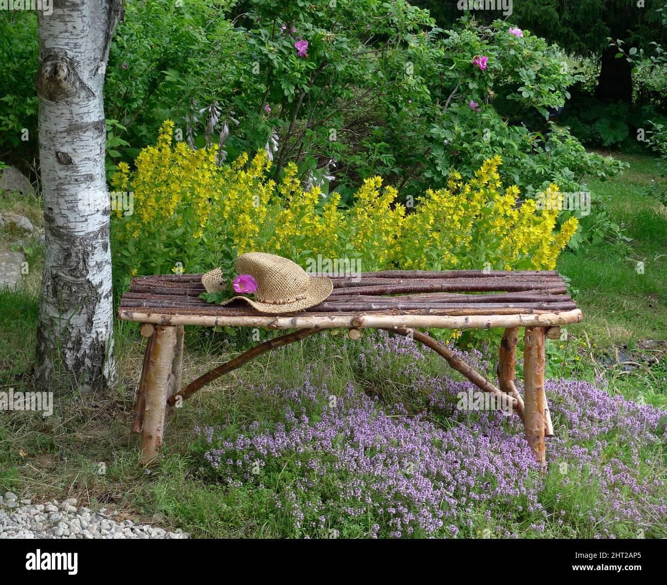 Garden bench in birch hi-res stock photography and images - Alamy