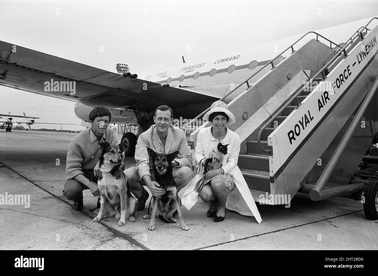 Blue peter christopher trace hi-res stock photography and images - Alamy