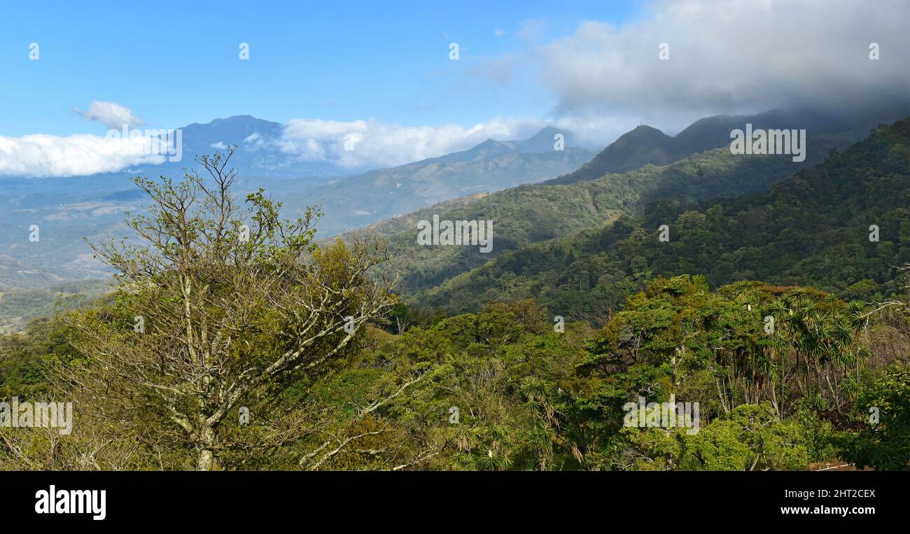 View of Volcan Baru in National Park, highest peak, volcano, tropical ...