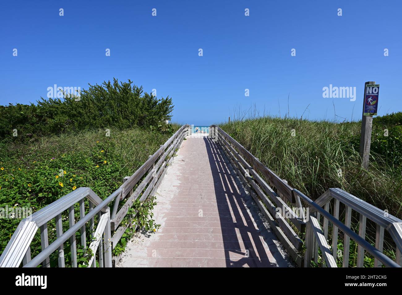 Path leading to beach in Miami Beach, Florida on clear sunny afternoon ...