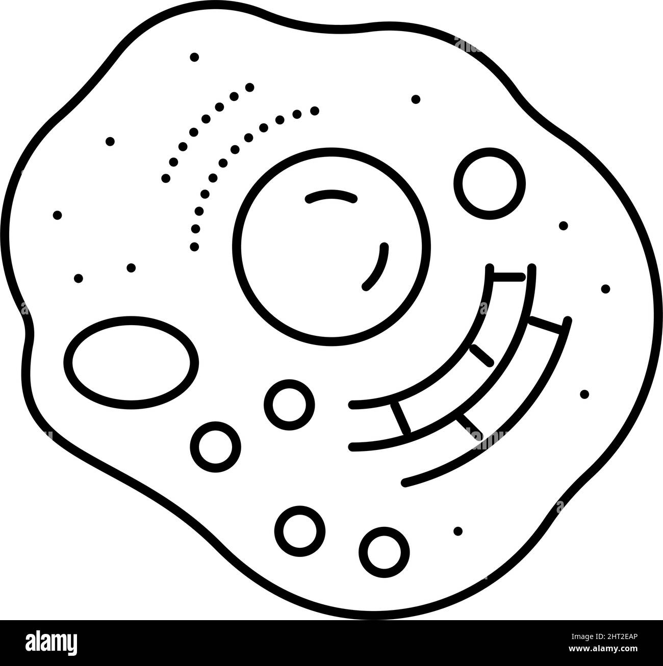 cell human line icon vector illustration Stock Vector Image & Art - Alamy