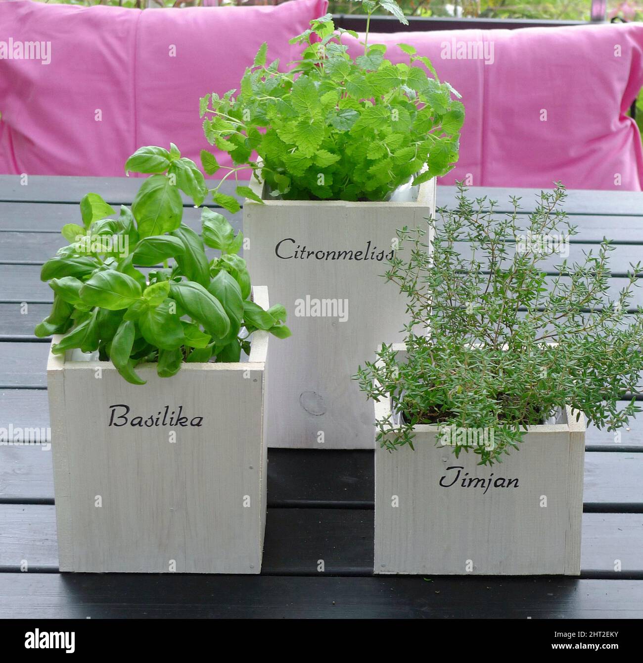 Fresh spices in boxes Stock Photo - Alamy