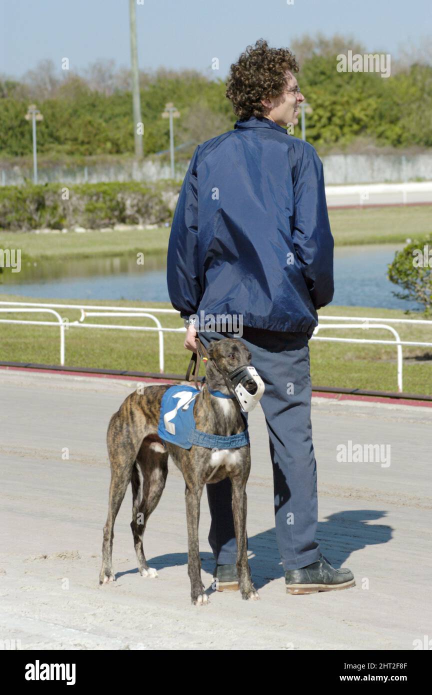 Dog Races in Florida Stock Photo - Alamy