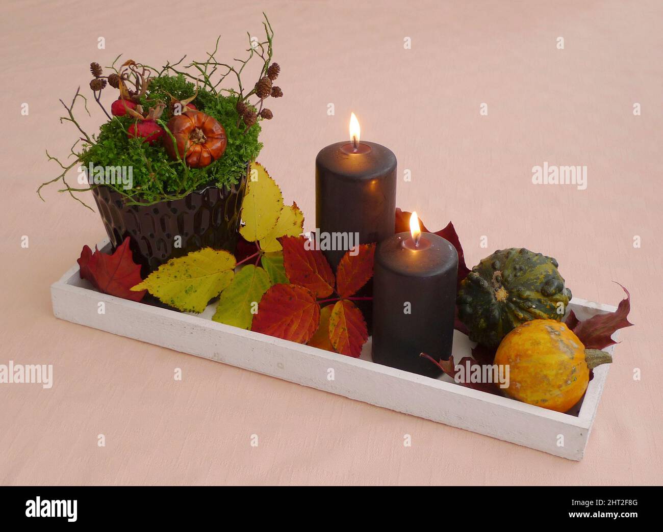 Halloween pumpkins candles hi-res stock photography and images - Alamy