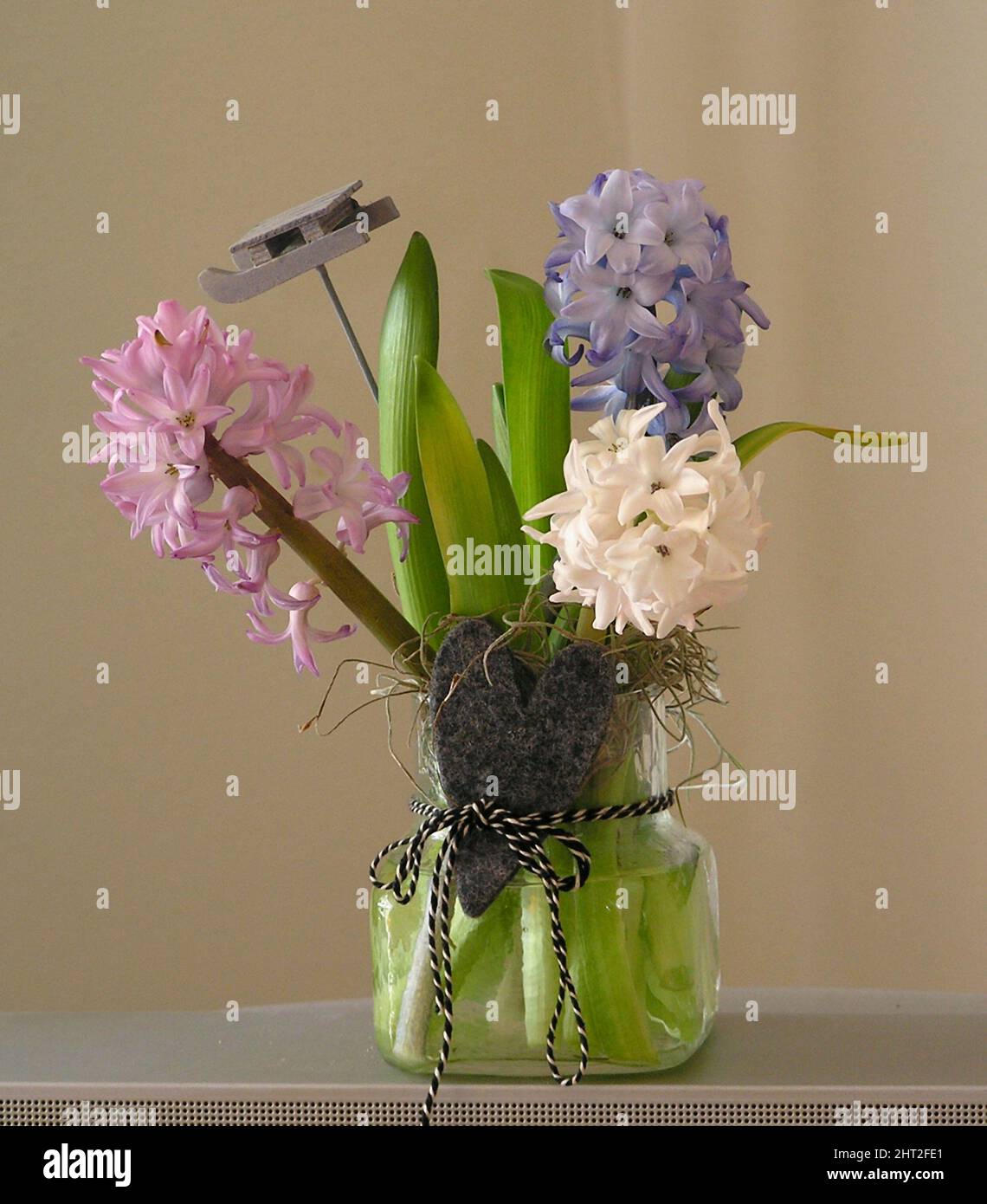 Vase of hyacinths hi-res stock photography and images - Alamy