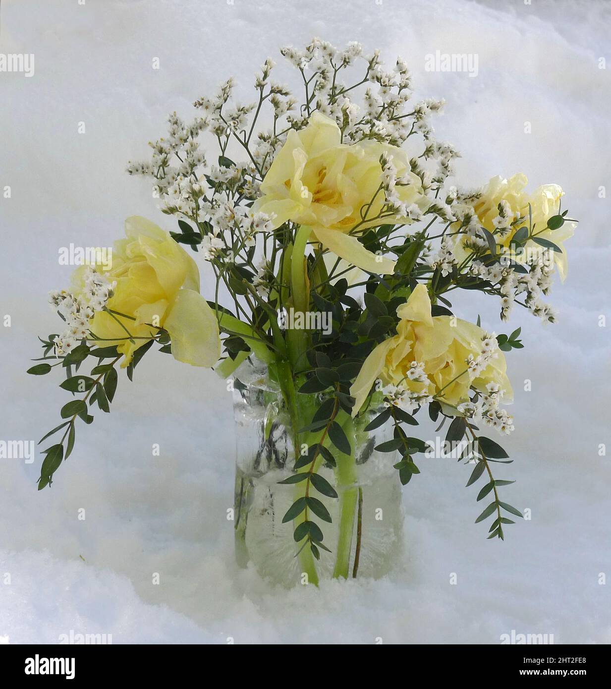 Ice vase with frozen tulips Stock Photo - Alamy