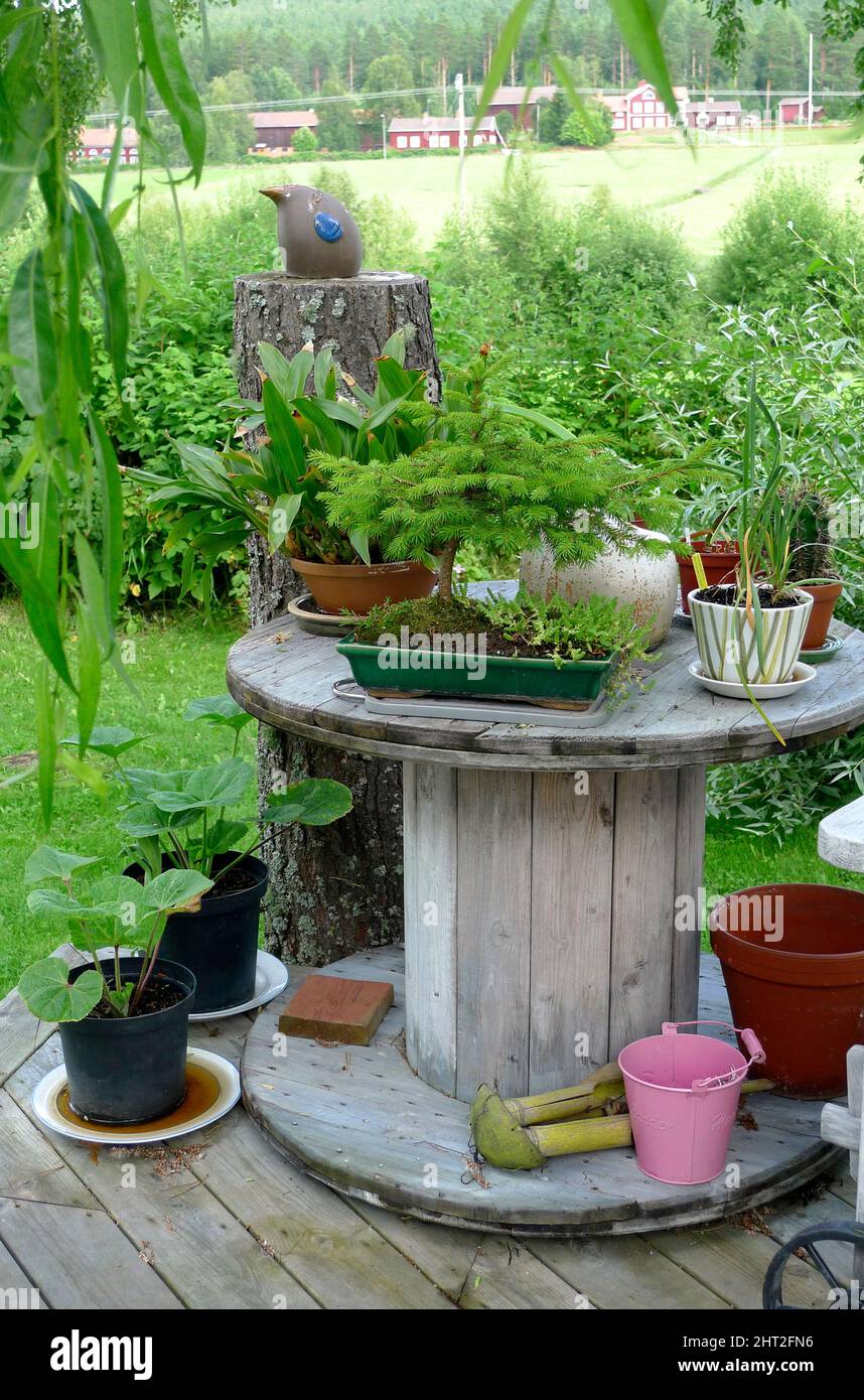 Flower pots on cable drum Stock Photo - Alamy