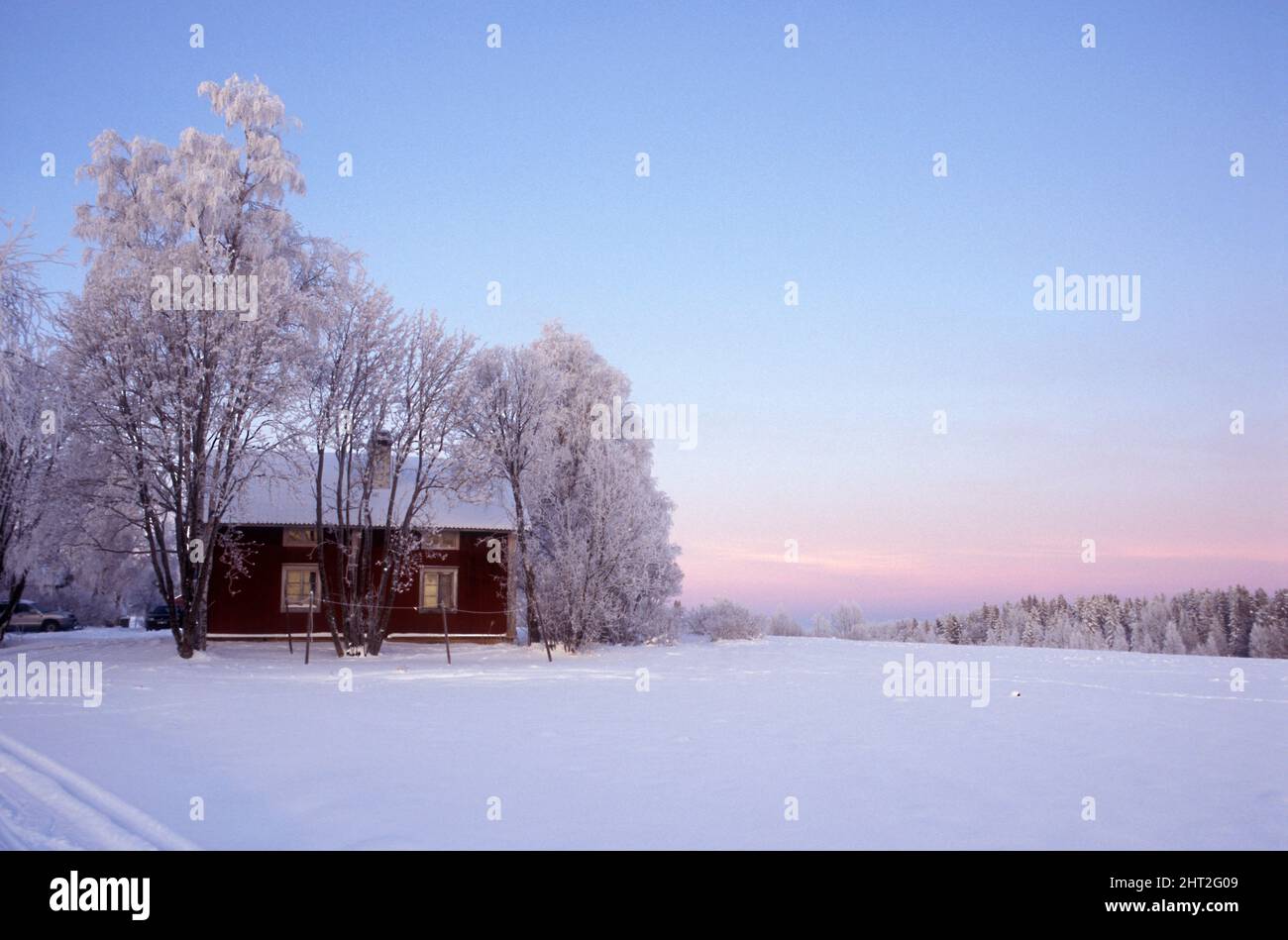 Pure winter landscape in northern Sweden in 2006, analog. Frosty, cold ...