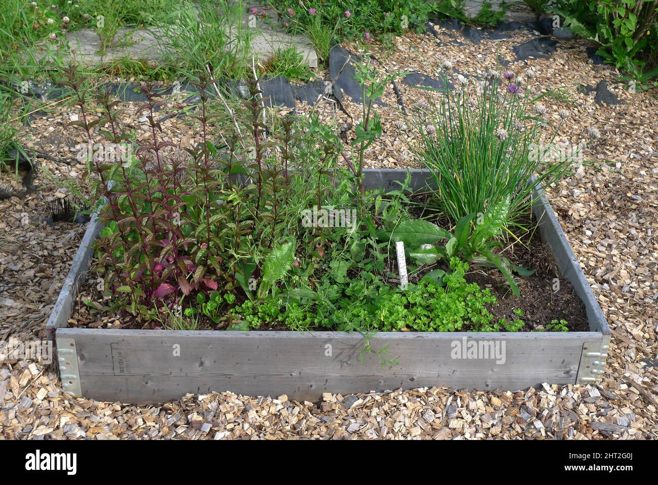 Odling hi-res stock photography and images - Alamy