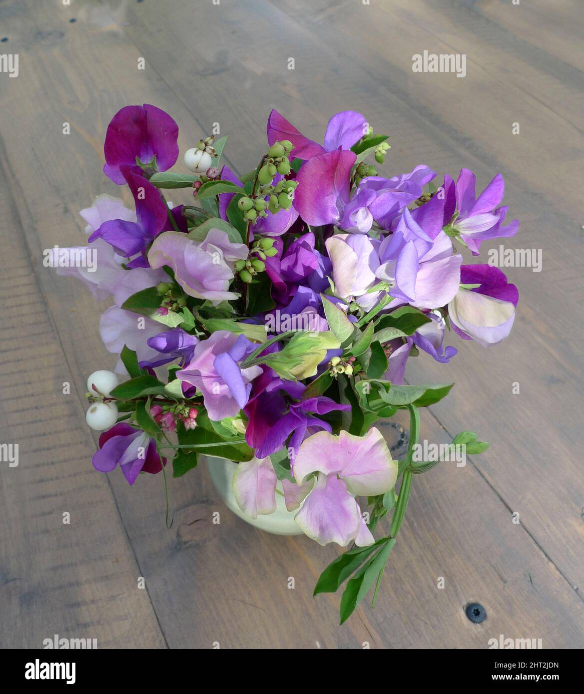 Snow pea flower hi-res stock photography and images - Alamy