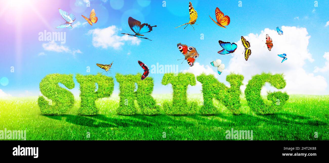 Decorative inscription with letters. Creative spring concept Stock ...