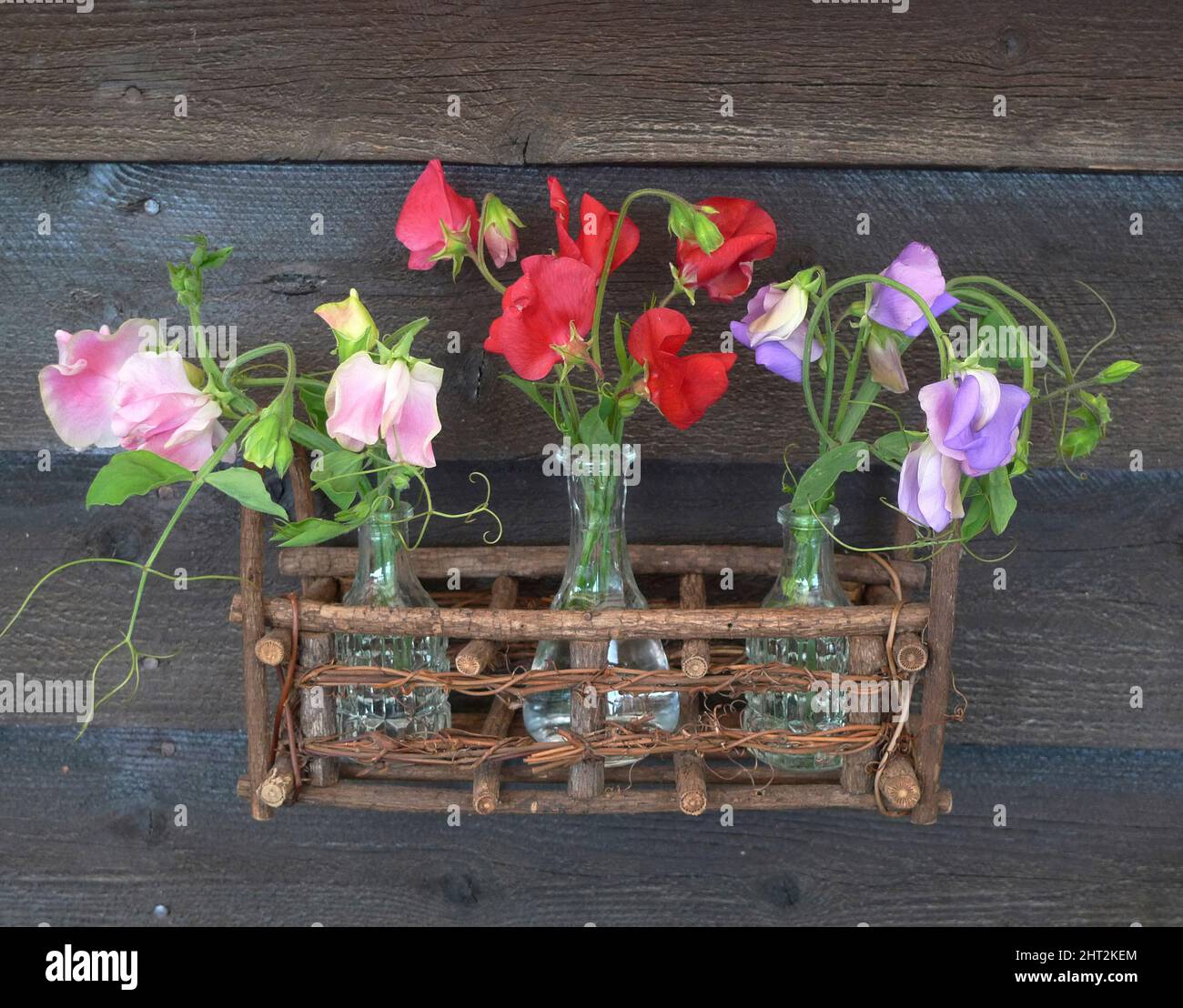 Sweet pea bouquets Stock Photo - Alamy