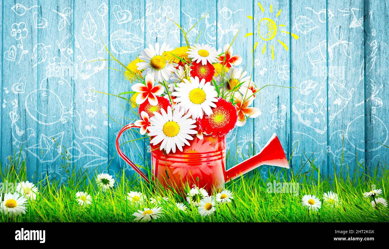 Spring flowers in watering can. Gardening tools and equipment Stock ...