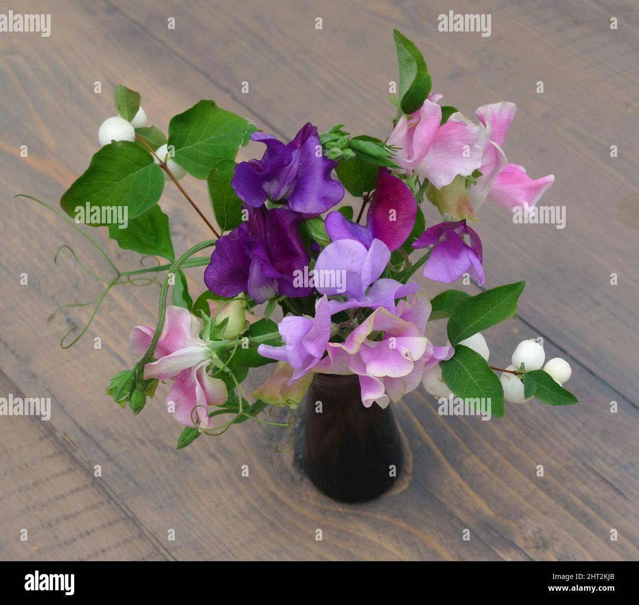 Sweet pea bouquets with snowberry Stock Photo - Alamy